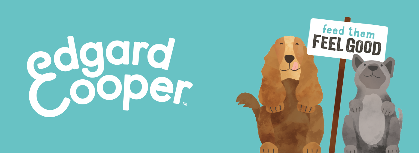 Vacatures bij Edgard & Cooper in Kortrijk | Creativeskills.be